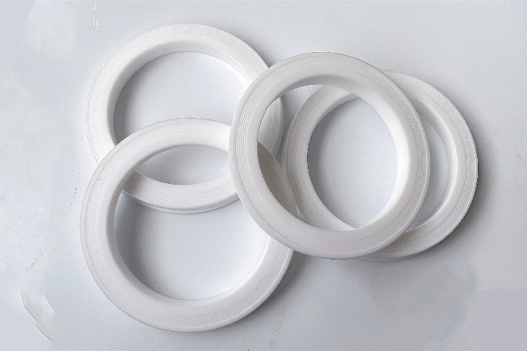 Custom Material Standard Size 2"3"4" PTFE Hammer Union Lip Seal Rings