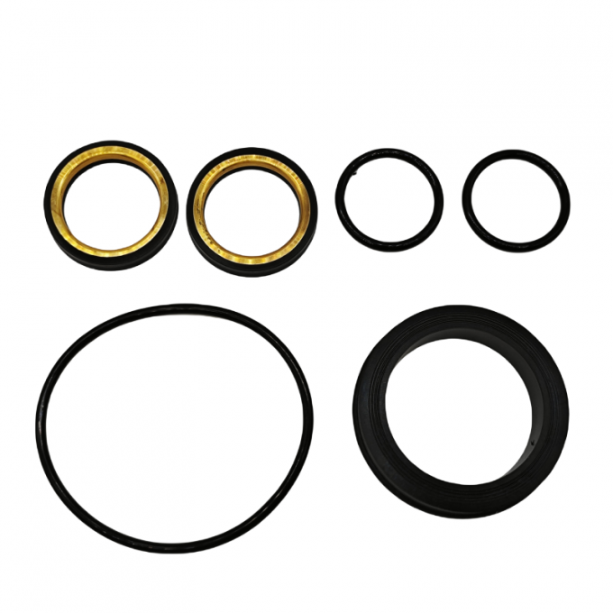 Oilfield Plug Valve Seals with NBR/HNBR/FKM Material and Brass/SS Backside