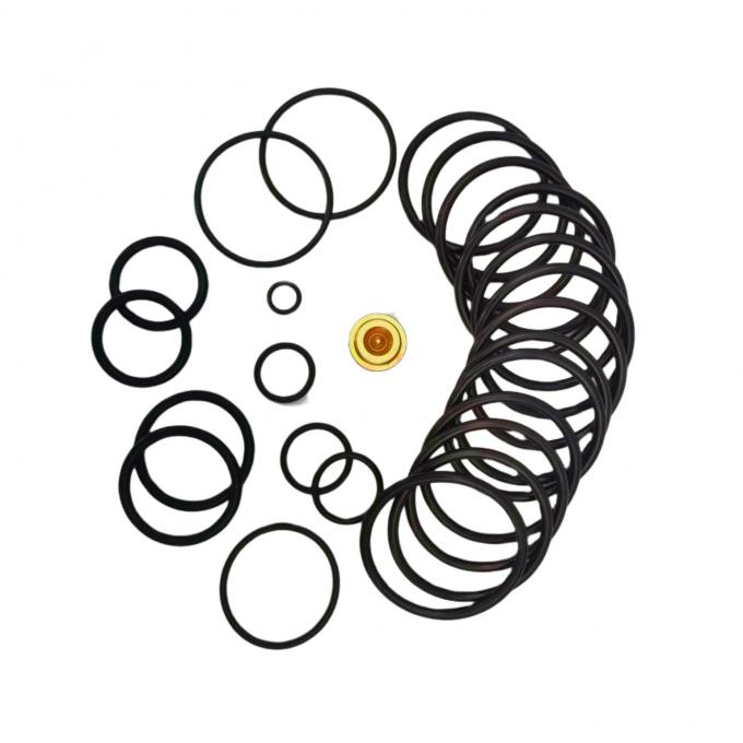 # 20 BP3.SEC Redress Kit Oilfield Completion Rubber O Ring Seals